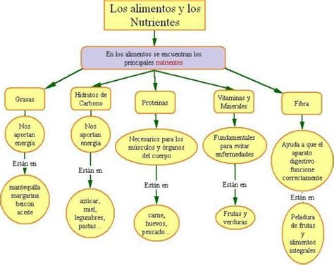 Elabora Un Cuadro Comparativo Sobre Los Tipos De Nutrientes Brainly Lat