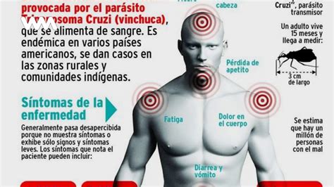 Chagas Tratamiento YouTube