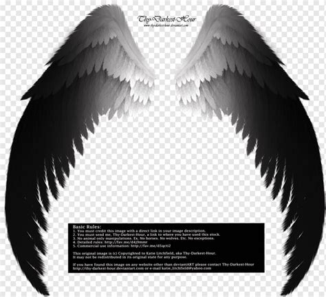 Tutorial Alas De Angel Anime