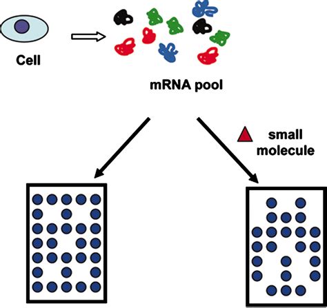 Evaluation Of RNA Binding Specificity Of Aminoglycosides With DNA