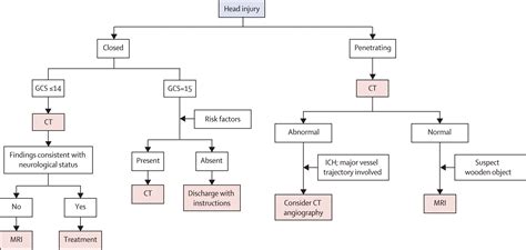 Moderate And Severe Traumatic Brain Injury In Adults The Lancet Neurology