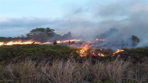 Kebakaran Lahan Gambut Di Natuna Semakin Meluas Petugas Kesulitan