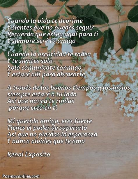 Frases para mi mejor amiga Una amiga como tú es aliento ánimo apoyo
