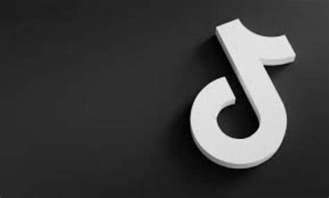 Cara Memulihkan Akun TikTok Tanpa Email Atau Nomor Telepon Iimers