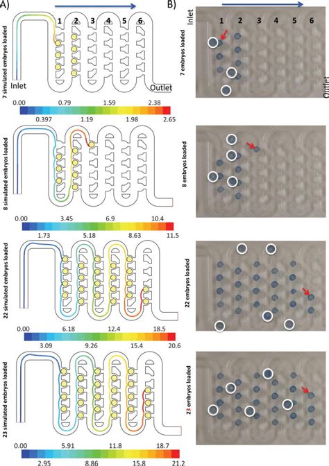 implementation of lagrangian particle tracking model to predict the download scientific diagram