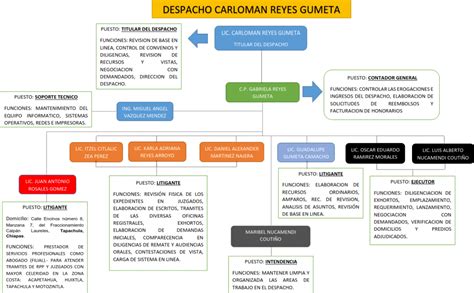 Organigrama De Un Despacho Contable