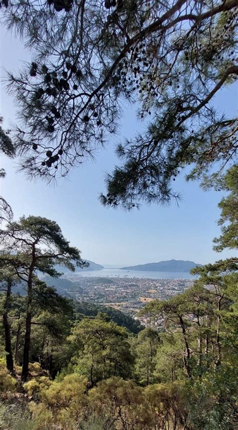 Marmaris Belediyesi On Twitter Mutlu Pazarlar Marmaris
