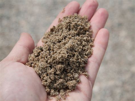 White River Sand For Construction At 20 Cubic Feet In Siliguri ID