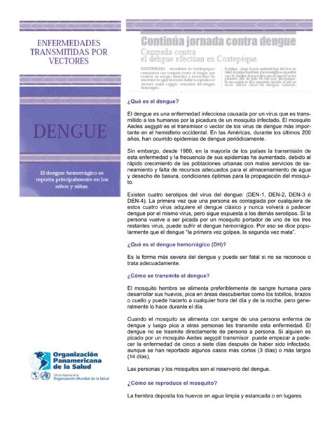 Qué es el dengue El dengue es una enfermedad infecciosa