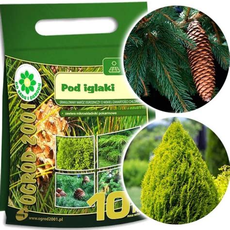 OGRÓD 2001 IGLAKI TUJE 10kg Siarkopol IGLASTE TUI Nawóz 10KG TUJE DO
