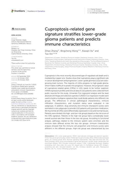 PDF Cuproptosis Related Gene Signature Stratifies Lower Grade Glioma