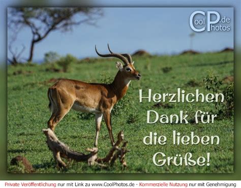 CoolPhotos de Danke Herzlichen Dank für lieben Grüße