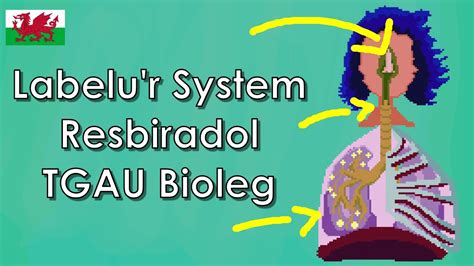 Labelu R System Resbiradol Bioleg CBAC YouTube