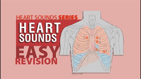 Heart Sounds Made Incredibly Easy Complete Guide To Cardiac Sounds