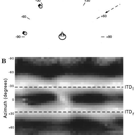 a spatial correlation surface obtained with identical sounds at download scientific diagram
