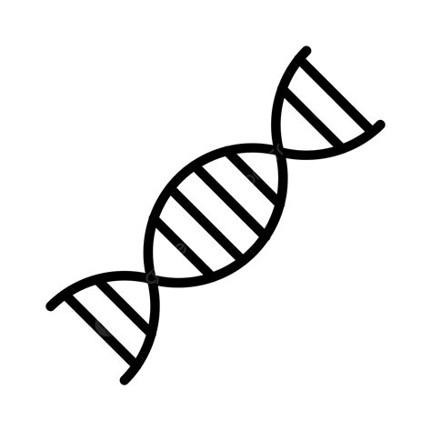 Icono De Línea De Adn Vector PNG dibujos Secuencia De Adn Adn Hebra