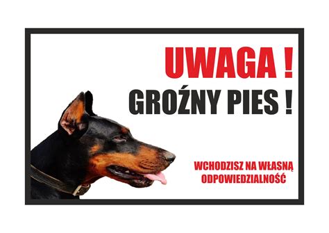 TABLICZKA PCV UWAGA PIES ZŁY PIES RASY 30x20 cm 7211252916 Allegro pl