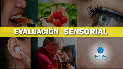 Evaluación Sensorial de Alimentos YouTube