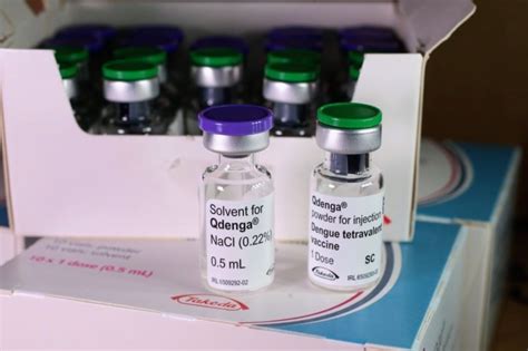 Fabricante Firma Parceria Para Ampliar Produ O Da Vacina Da Dengue
