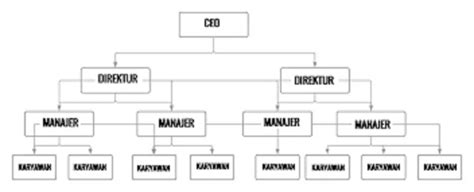 Contoh Struktur Organisasi Fungsional Porn Sex Picture