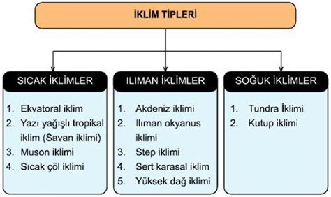 Dünyadaki İklim Tipleri ve bitki örtüsü konu anlatımı 9 sınıf coğrafya