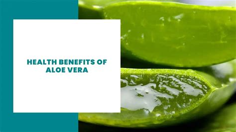 12 Beneficios Del Aloe Vera Para La Salud