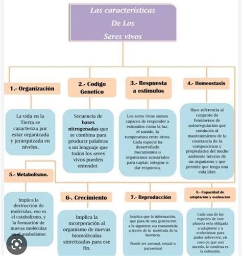Elabora un organizador visual sobre el tema LAS CARACTERÍSTICAS DE LOS