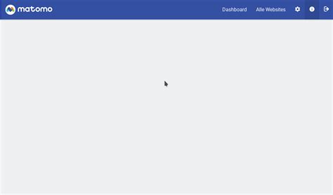 Empty View In Matomo Support Bugs Matomo Forums