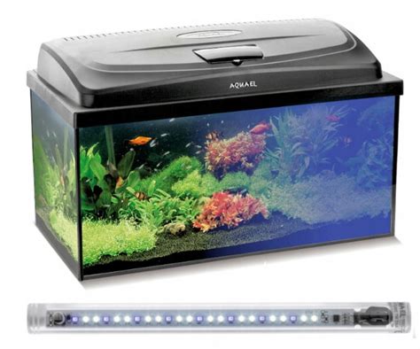 Aquael Classic Box Akwarium Proste L O Wietlenie Led Dzie Noc