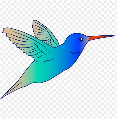 Hummingbird Drawing PNG Transparent With Clear Background ID 89147 TOPpng