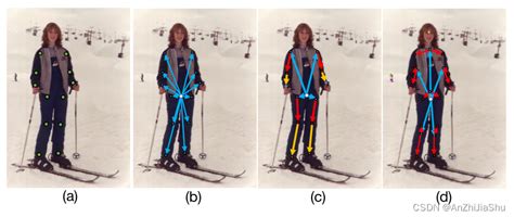 adaptivepose a powerful single stage network for multi person pose regression 阅读笔记 csdn博客