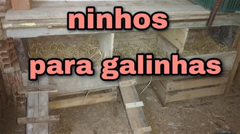 Construindo Ninho Para Galinheiro YouTube