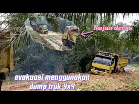 Proses Evakuasi Truk Sawit Terpuruk Dalam Situasi Hujan Deras Youtube