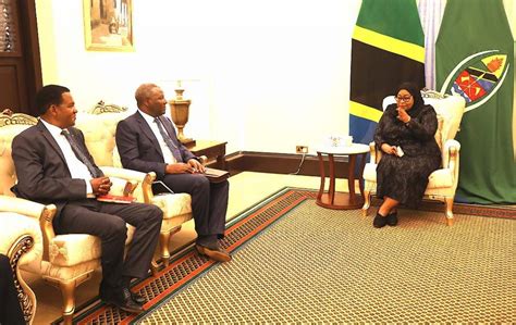 MAELEZO Rais Mhe Samia Suluhu Hassan Akutana Na Kuzungumza Na
