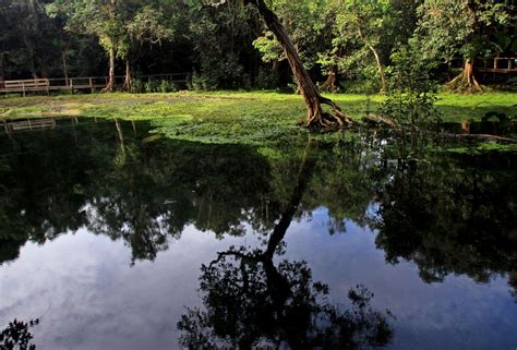 Wisata Hutan Negeri Dongeng Biak Papua