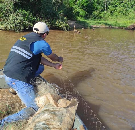 Por veda pesquera retiran 2 000 metros de espineles de aguas del río
