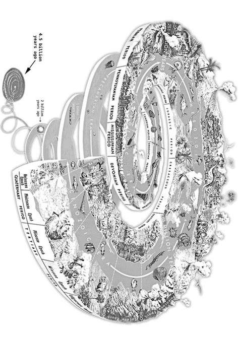 Disegno Da Colorare Spirale Geologico Disegni Da Colorare E Stampare