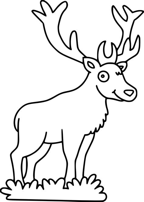 Coloriage cerf et dessin à imprimer