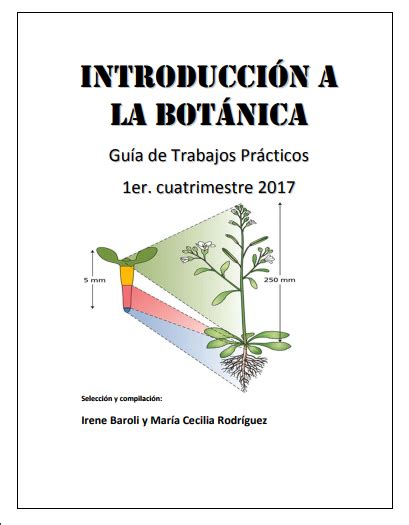 Libros Botánica gratis Introducción a la Botánica pdf