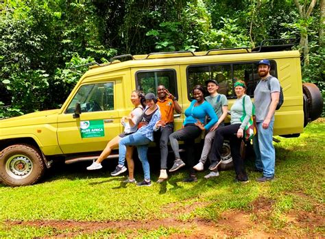 7 Day Highlights Of Rwanda Safari Holidays Best Rwanda Gorilla Safari
