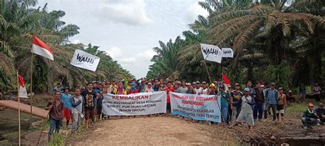 Ribuan Petani Sawit Mau Demo Besar Besaran Pagi Ini Elaeis Co