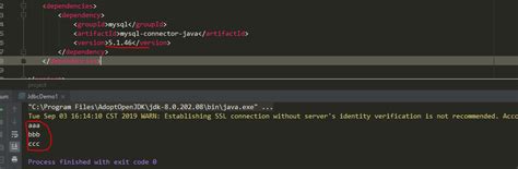 caused by java lang classcastexception java math biginteger incompatible with java lang long