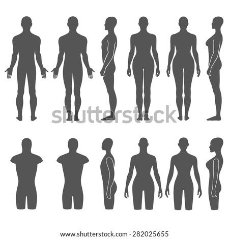 Torso Silhouette Stock Images Royalty Free Images Vectors Shutterstock