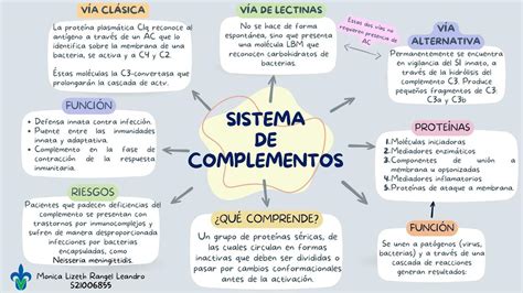 Sistema De Complementos Monica Rangel UDocz