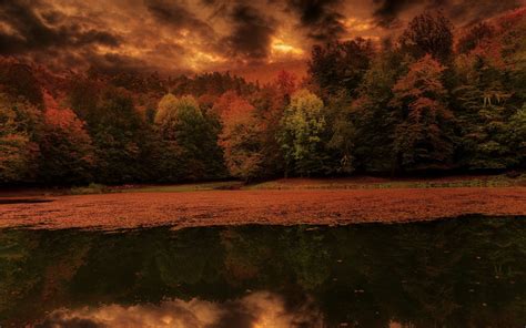 Wallpaper Sunlight Trees Landscape Forest Fall Leaves Sunset