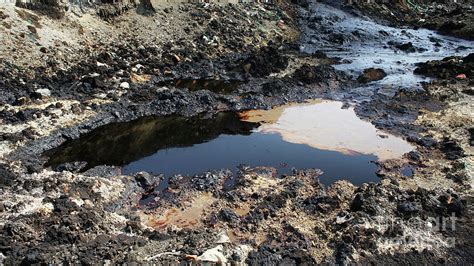 Water Pollution Earth