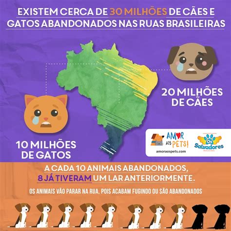 Números de animais abandonados no Brasil