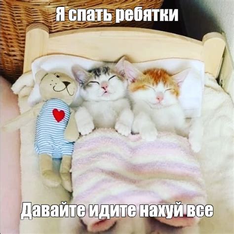 Мем Я спать ребятки Давайте идите нахуй все Все шаблоны Meme
