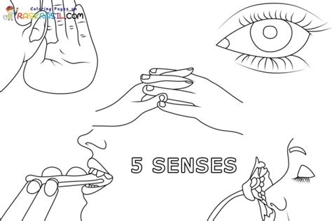 Desenhos De 5 Sentidos Para Colorir
