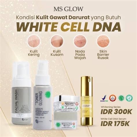 Jual Paket White Cell Dna Ms Glow Original Shopee Indonesia